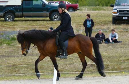 Reiten in Island - Alle wichtigen Infos | ISLAND Erlebnisreisen ...